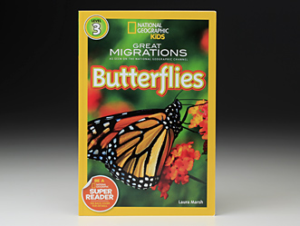 The Butterfly Place - Westford, Massachusetts: An indoor garden filled ...